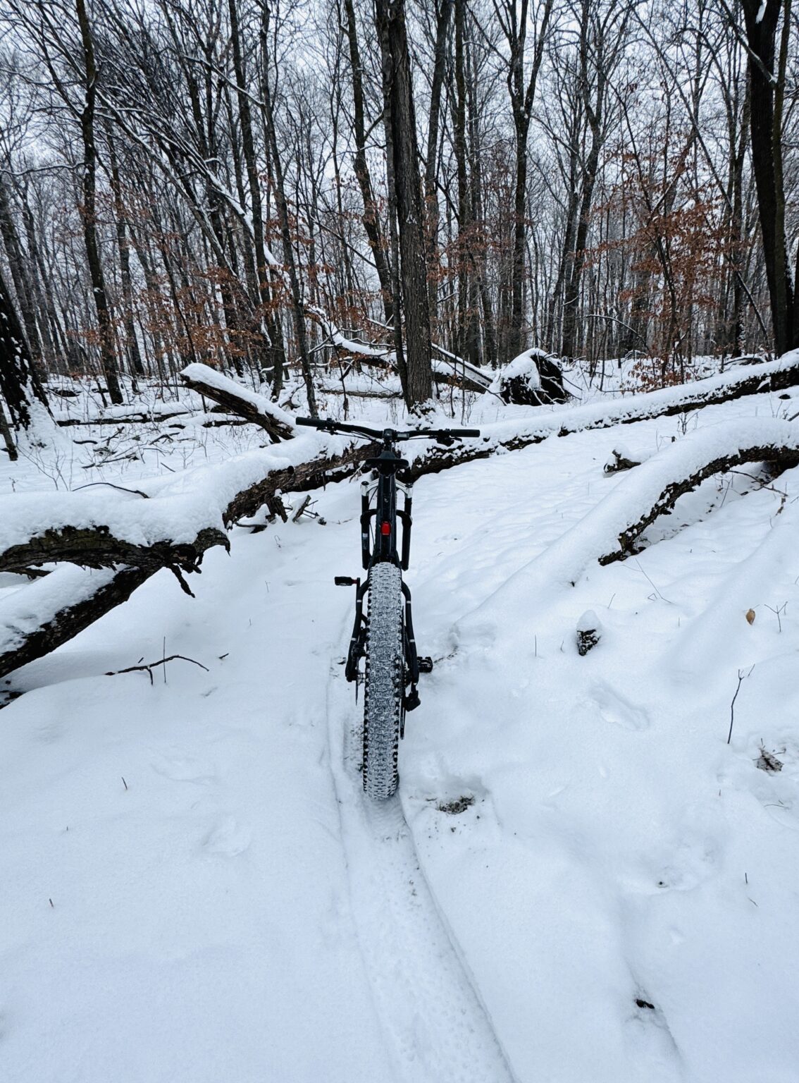 Fat Bike Trail Report | Maplelag Resort